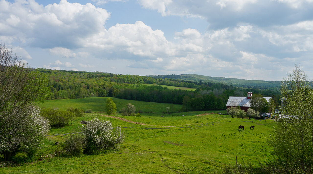Maple Lane Farm | Cabot, Vermont